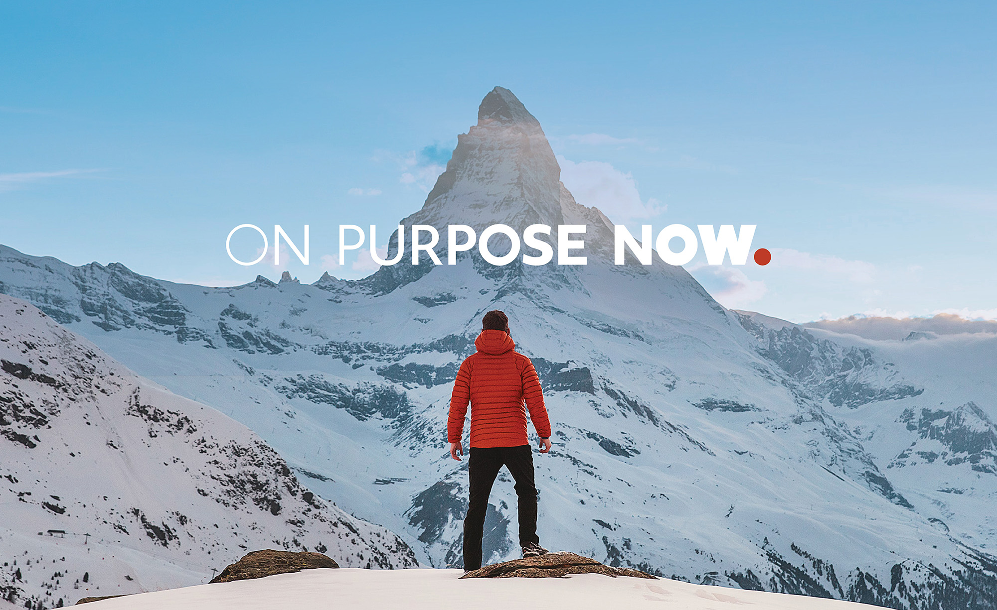 SIGNAL Brand Innovation